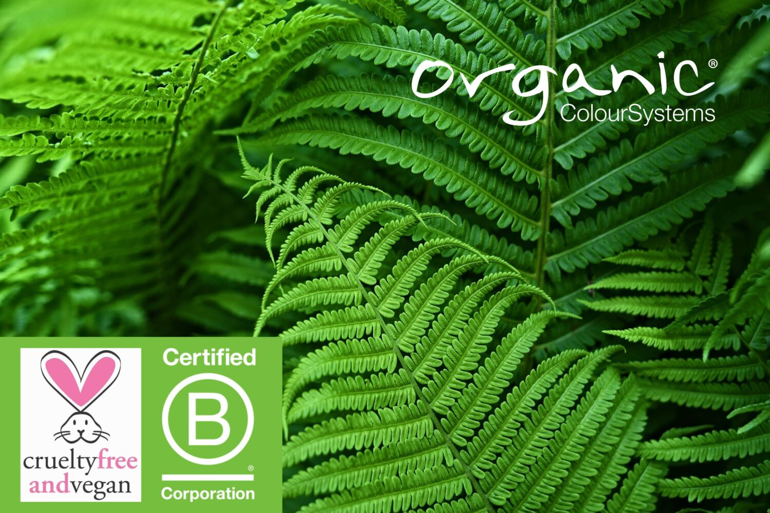 Organic Colour Systems - Arc Hairdressing